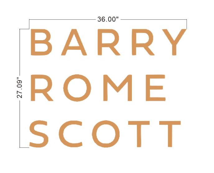 BARRY ROME SCOTT metal backlit sign – helloneonsign